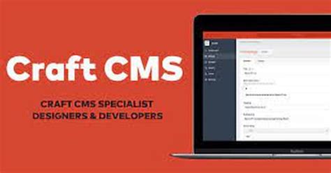 develop professional website on craft cms by smartest dev fiverr