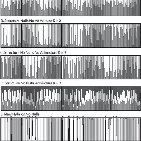 results of the clustering analyses performed with structure and