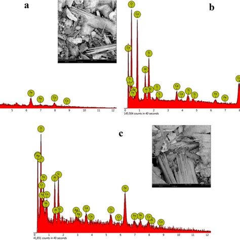 sem micrographs and semi quantitative analysis by energy dispersive