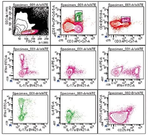 全攻略 T细胞流式解决方案 哔哩哔哩