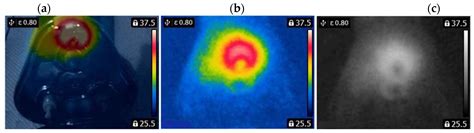 Thermographic Fault Diagnosis Of Shaft Of Bldc Motor