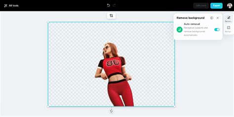 Elevate Your Picture With No Background Transparency