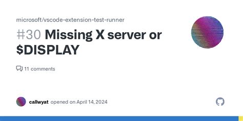 Missing X Server Or DISPLAY Issue 30 Microsoft Vscode Extension Test Runner GitHub