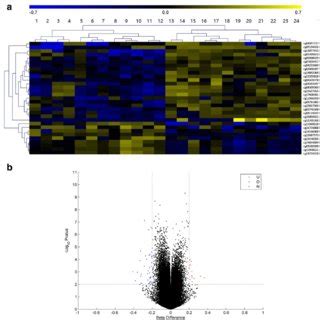 A Heatmap Shows A Clustering Analysis Of The 31 CpG Sites That Were