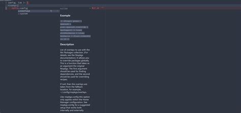 Nixd Nix Language Server Announcements Nixos Discourse
