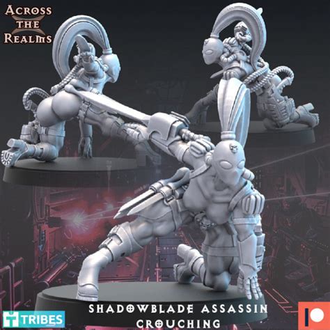 Shadowblade Assassin Crouching Across The Realms 32mm Etsy Uk