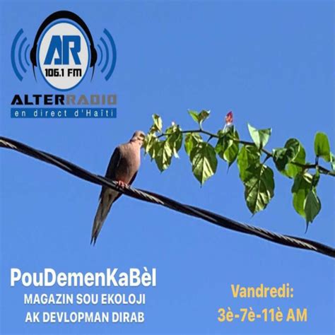 Pou demen ka bel | Listen to Podcasts On Demand Free | TuneIn
