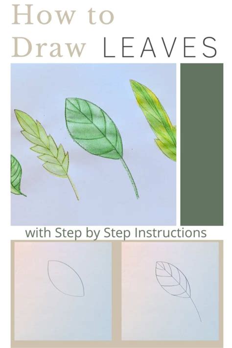How To Draw A Leaf With Symmetry Basicdraw Com