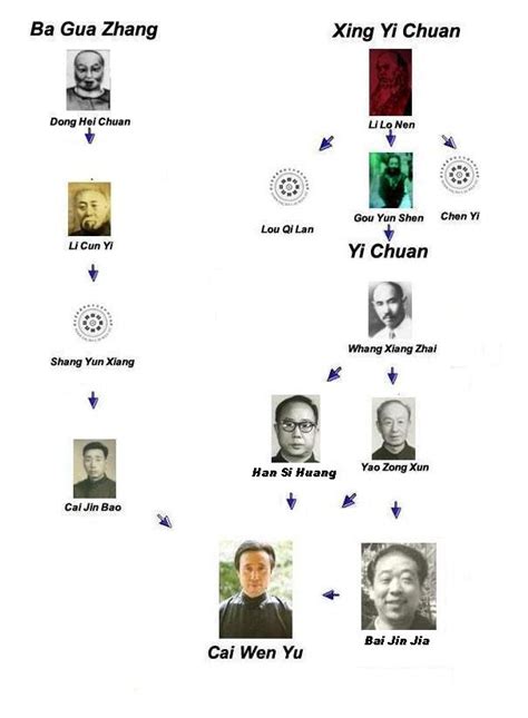 Asociación Cai Wen Yu Argentina El Maestro Cai Wen Yu