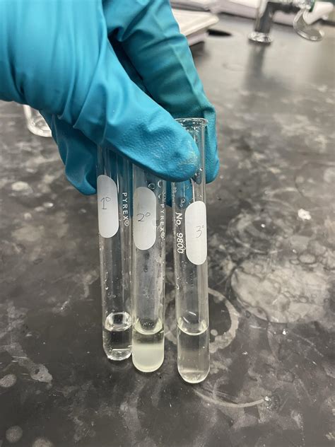 Solved Can Some One Please Help Describe Your Observation Of