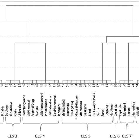 Hierarchical Cluster Analysis Showing A Dendrogram Of Priority