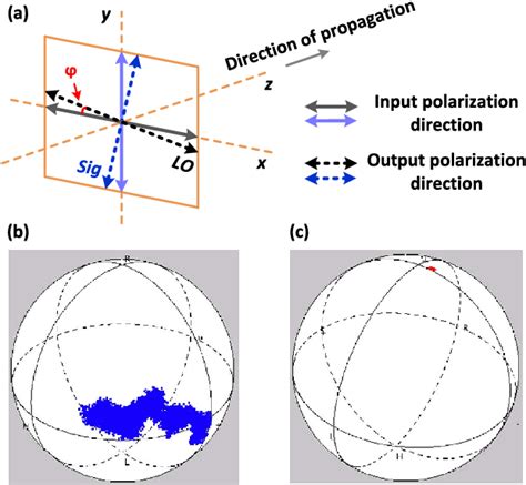 A Polarization Multiplexing Of Lo And Quantum Signals B Download Scientific Diagram