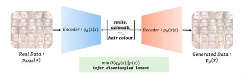 vae系解纠缠：从vae到βvae，再到β tcvae vae 解耦 csdn博客