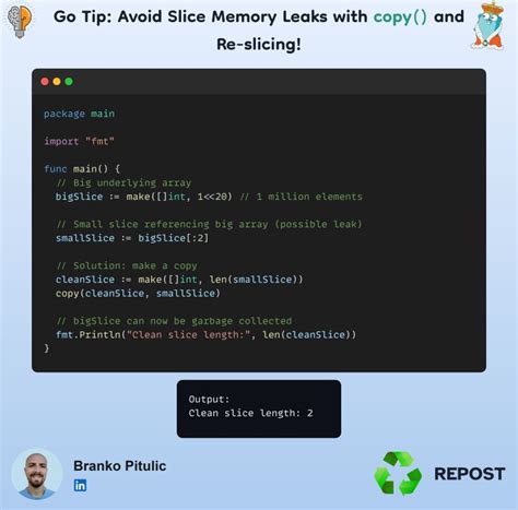 Go Golang Memorymanagement Codingtips Softwareengineering Gophers