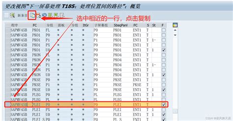 sap 报错 流控制 sapmv45b plei px 中的条目丢失 流控制 sapmv60a tede