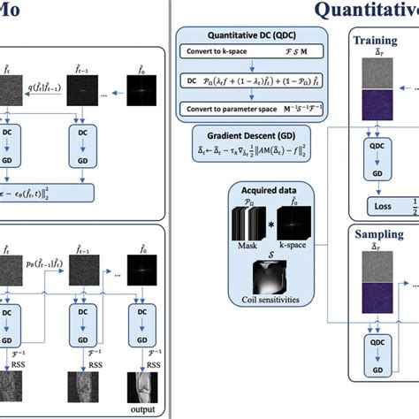 Diffusion Model Framework For Static Dimo And Quantitative Dimo Eg