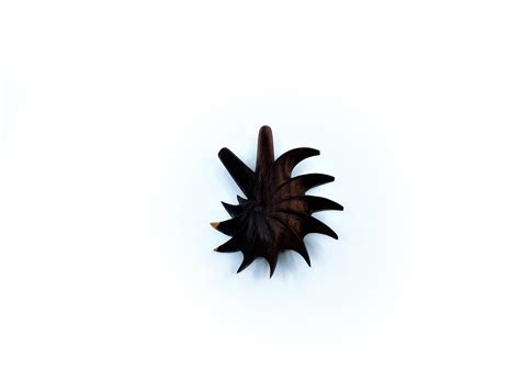 Fibonacci Kuripe Sono Wood