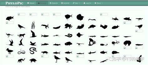 复现《nature Communications》图表：ggplot添加图片 示意图元素 知乎