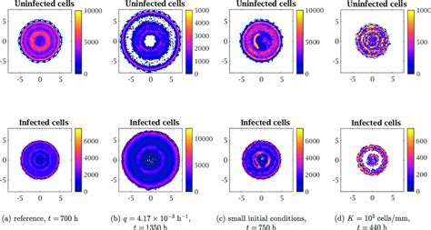Numerical Simulation Of The Discrete Model With Undirected Movement And Download Scientific
