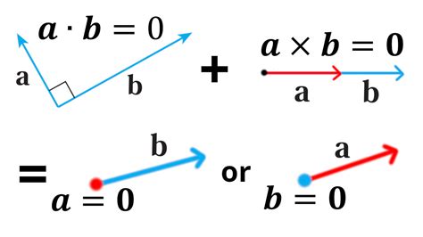 True False Quiz Questions 19 To 21 When Dot And Cross Products Equal Zero