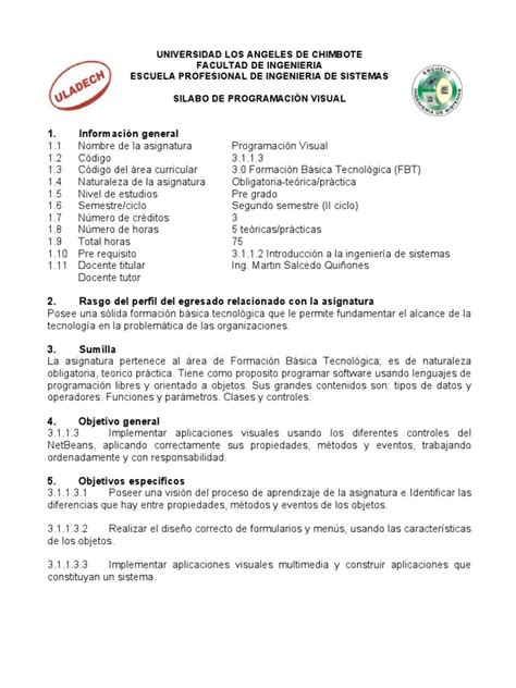 Silabo Programacion Visual Pdf Aprendizaje Programación De