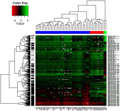 Hierarchical Clustering Was Performed On 312 Differentially Expressed
