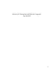 Laboratory Naming Ionic And Molecular Compounds Docx Laboratory Naming Ionic And
