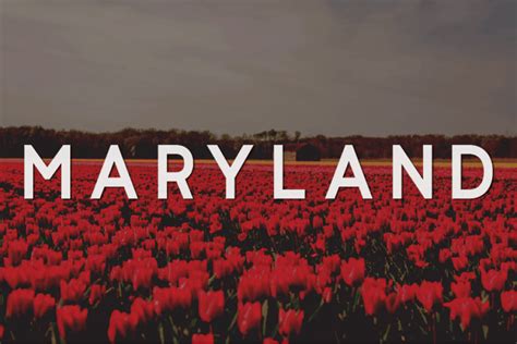 maryland font · 1001 fonts