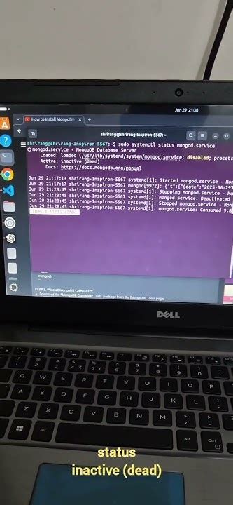 How To Solve Mongodb Server Selection Error Youtube