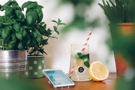 Sip Sup The Coolector Sip Sup The Coolector