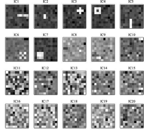 Twenty Spatial Independent Components Extracted By Fastica Nonlinear