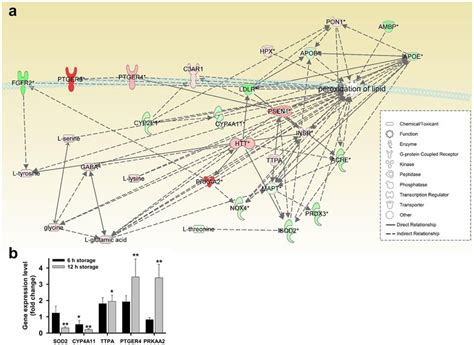 bioinformatics analysis of microarray and amino acid profiles in