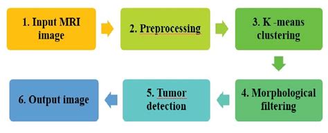 Block Diagram Of Processing An Input Image Download Scientific Diagram