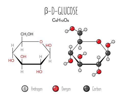 Glucose Structural Diagram