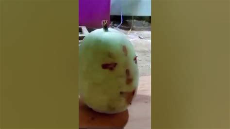 Devichya Homachi Puja Youtube