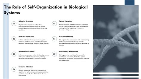 Top 10 Self Determination Theory Powerpoint Presentation Templates In 2025