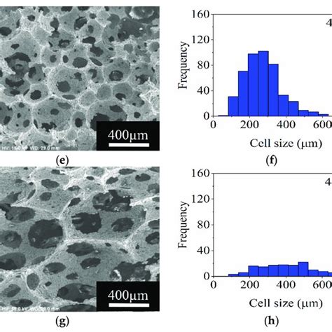 Sem Micrographs And Frequency Histograms Of The Cell Size Obtained