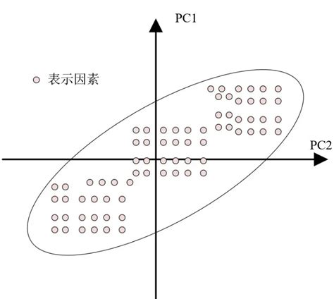 经管毕业论文常用主成分分析（pca） 哔哩哔哩