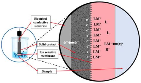 Next Generation Potentiometric Sensors A Review Of Flexible And