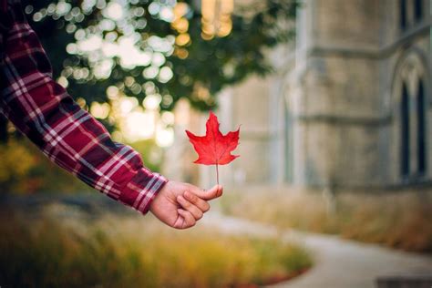 Ircc Conducts Large Scale Express Entry Draw Issuing 3000 Cec Invitations