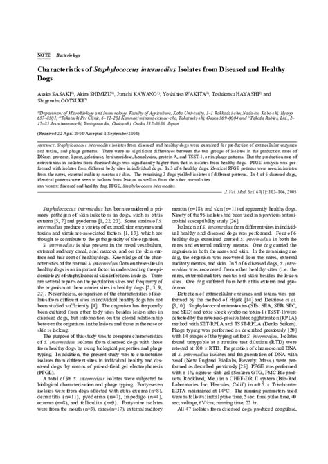 Pdf Characteristics Of Staphylococcus Intermedius Isolates From