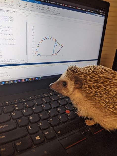 Mathworks On Linkedin Meet Pepper Our Newest Matlab Engineer Were Hiring 🦔 ️ 46 Comments