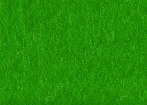 Realistic Grass Vector Background Vector Grass Background Green Lawn