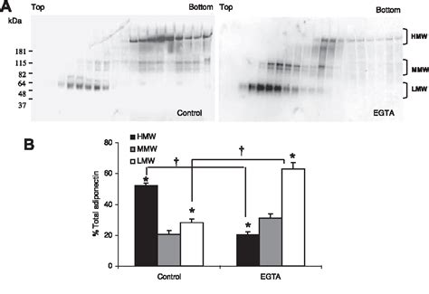 Figure 3 From Calcium Is Involved In Formation Of High Molecular Weight