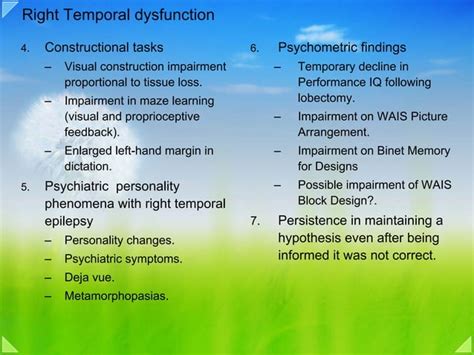 07b Posterior Association Cortex Pdf