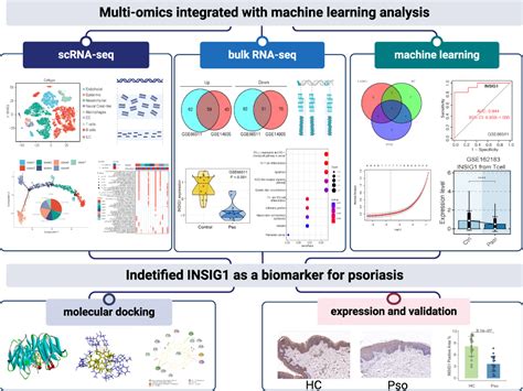 single‑cell sequence analysis combined with multiple machine learnin jir