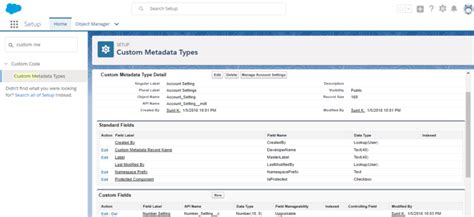 Salesforce Custom Metadata Types For Isv Apps