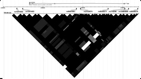 Location Of The Assayed Snps With Respect To The G72daoa Gene