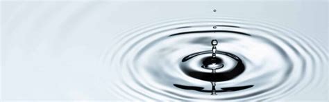 New Sap Product Carbon Footprint Analytics Sap News Center