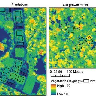 Below Example Of LiDAR Derived Digital Canopy Model DCM With Download Scientific Diagram